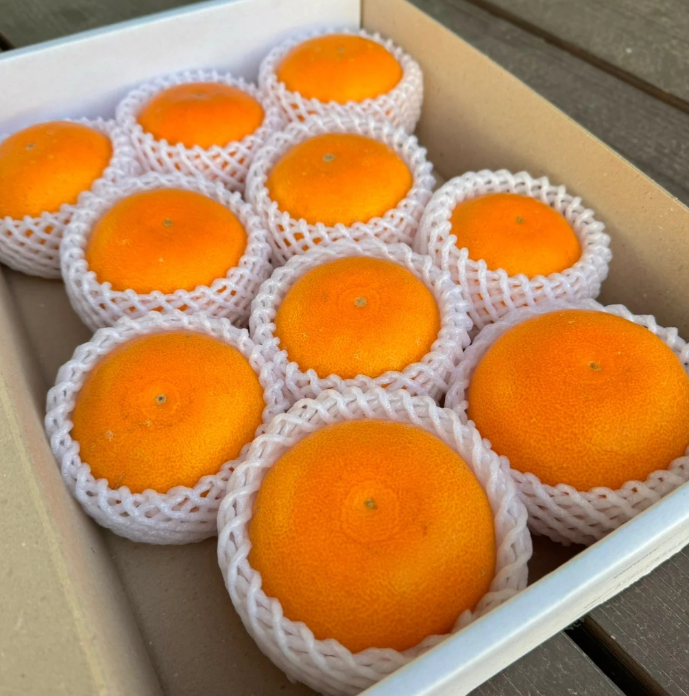 故郷・大崎上島の「ハウスせとか」: 凡・ハヤト OFFICIAL BLOG♪